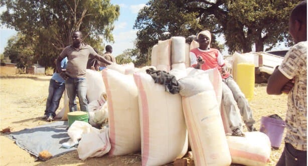 ADMARC sets MK600 against maize's farmgate price of MK500 per kg - The ...