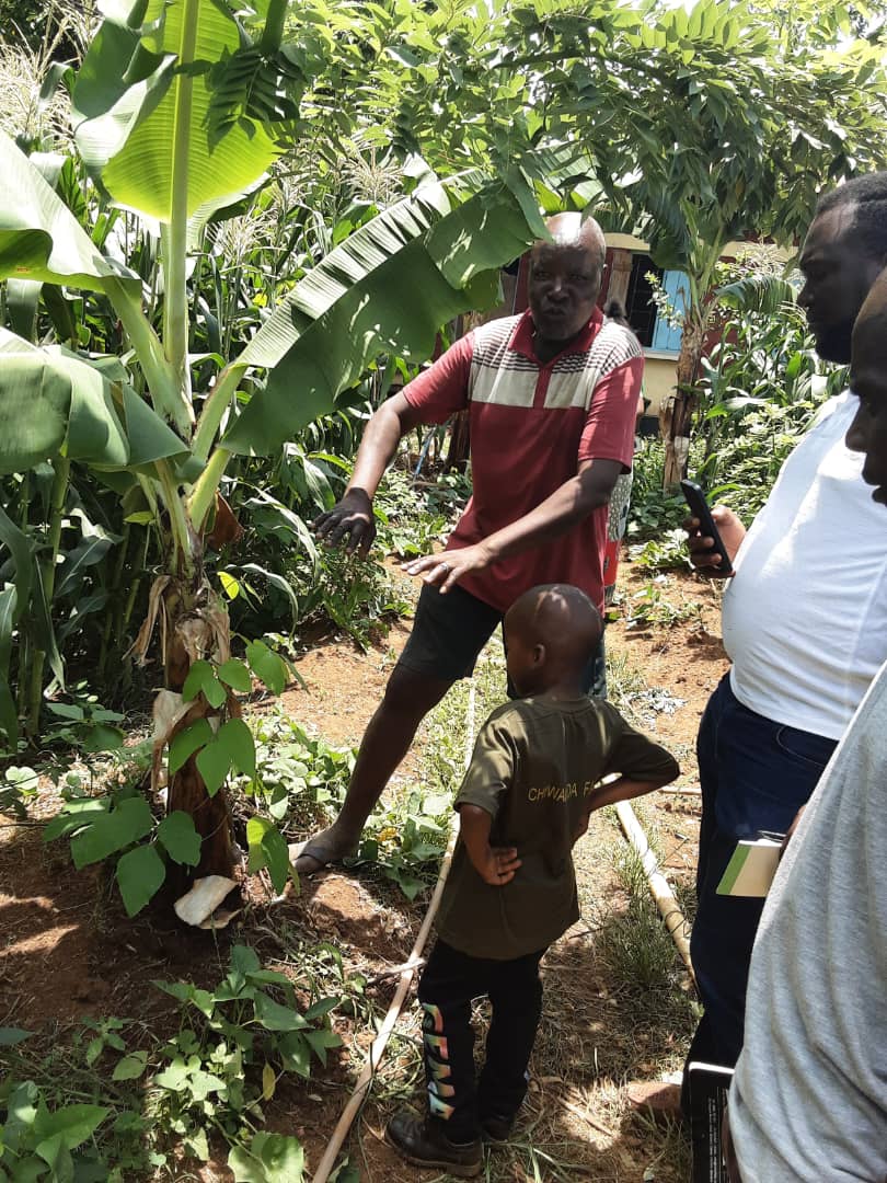 Seeing is believing - The Maravi Post