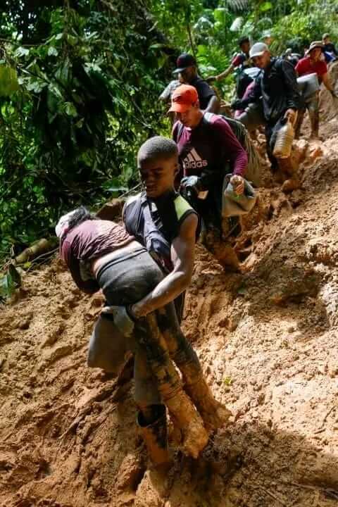 Horrific Murder in Mulanje: Woman Raped and Killed in Tea Estate - The ...