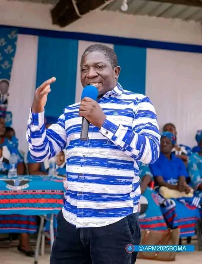 Moses Walota challenges DPP primary outcome in Mwanza, Court grants ...